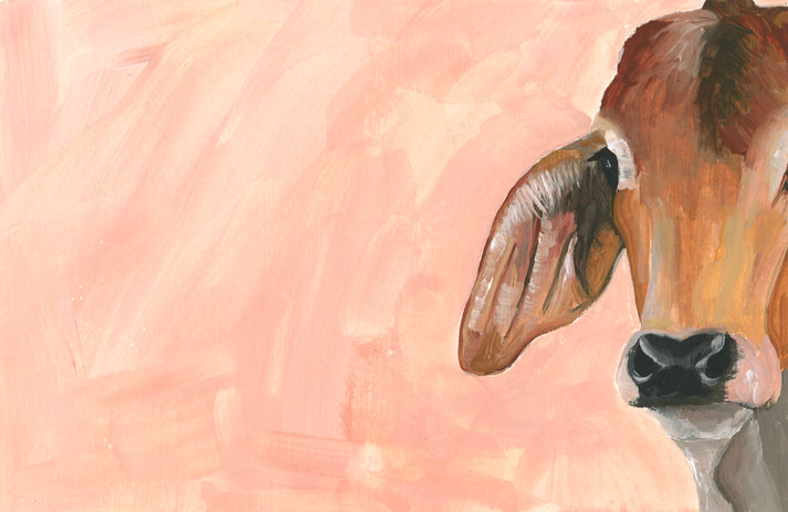 'Brahman Head' Cotton rag paper print – Meg Frances Art